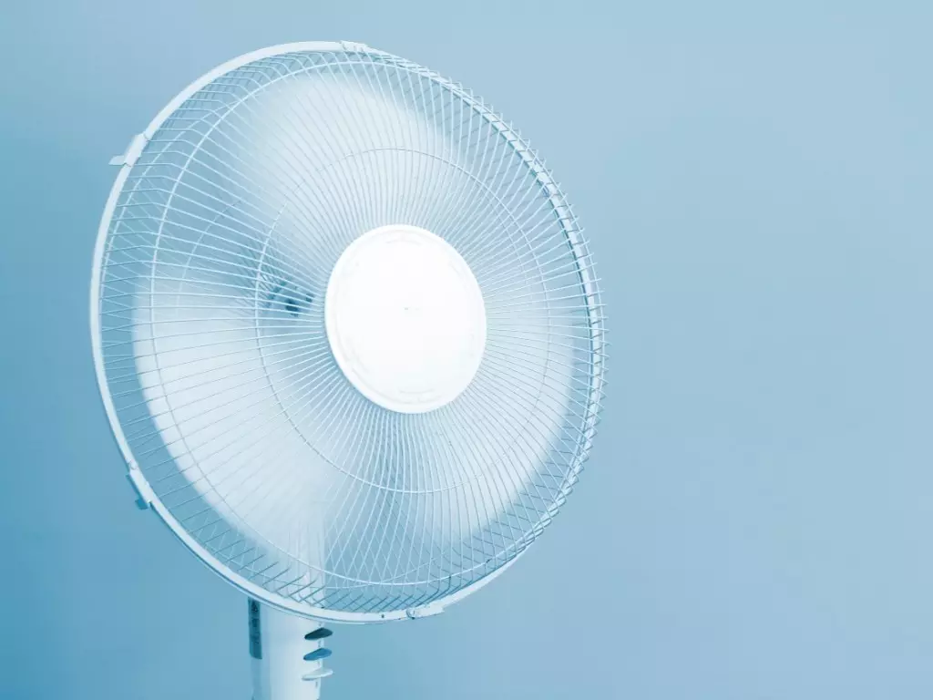 Combat la calor amb aquests poderosos ventiladors de torre