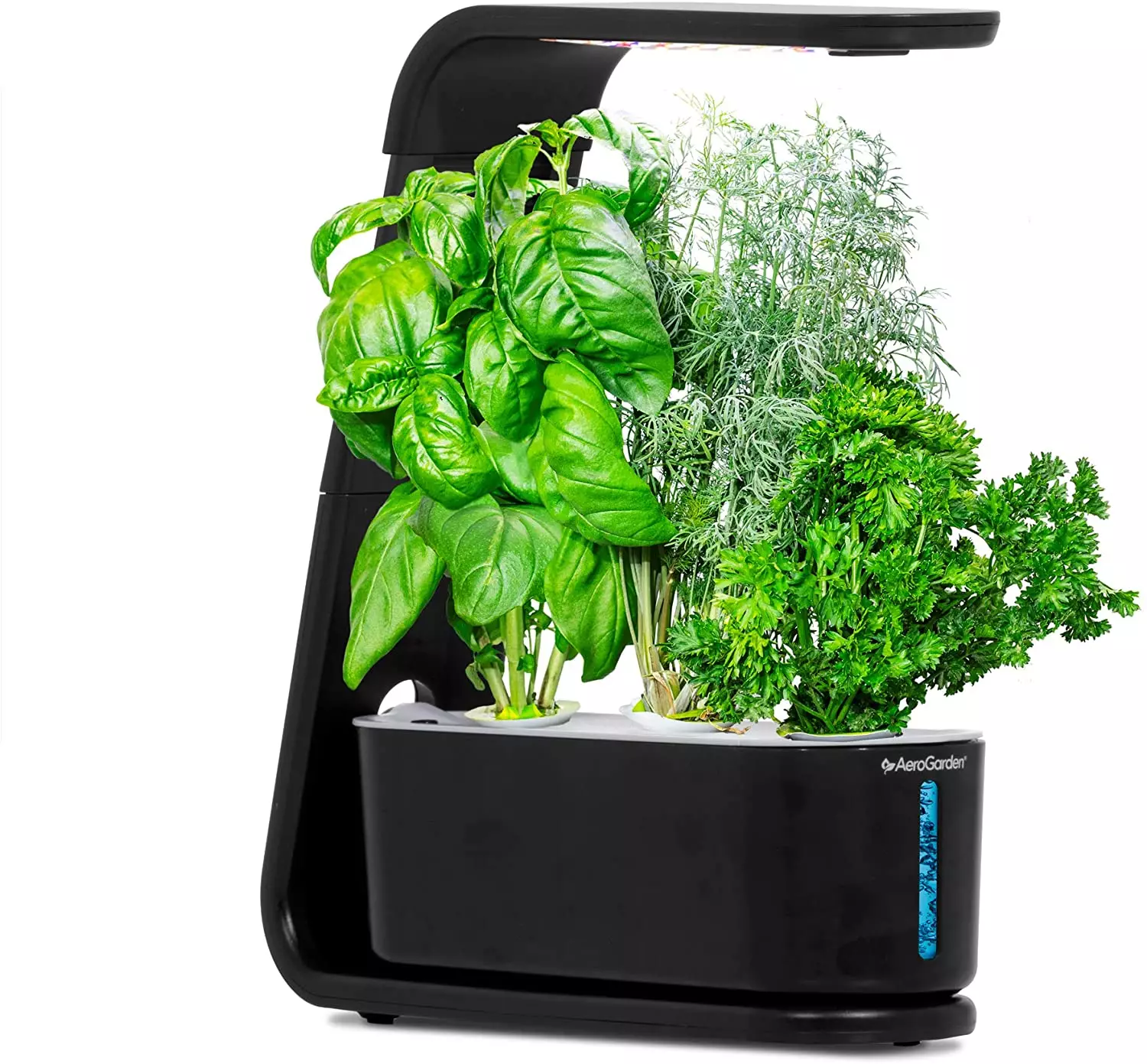 Costco ყიდის Perfect Herb Garden Starter Pack-ს 15 დოლარზე ნაკლებ ფასად 131185_2