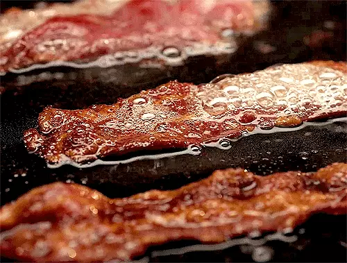 bacon gif