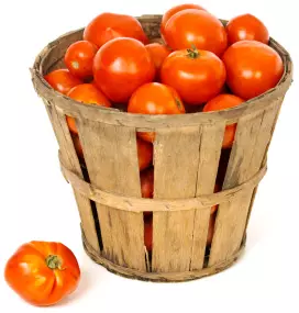 cesta de tomates