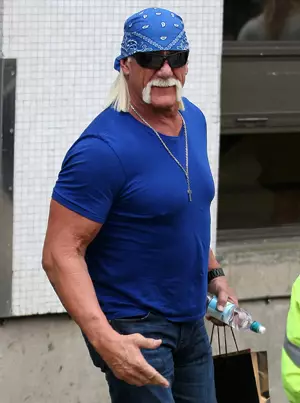 Hulk Hogan