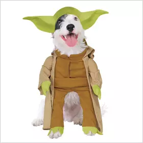 Kostum PetSmart Yoda untuk anjing
