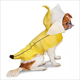 Kostum pisang petco untuk anjing