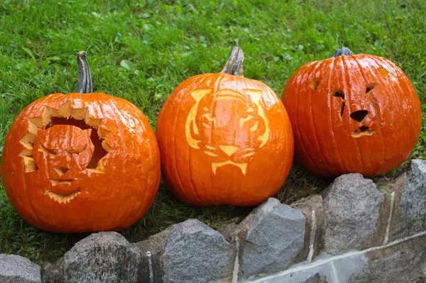 Halloween Cat o Lantern