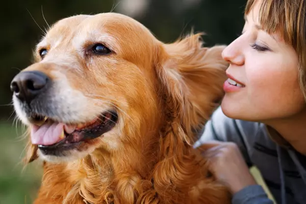 Nő golden retrieverrel