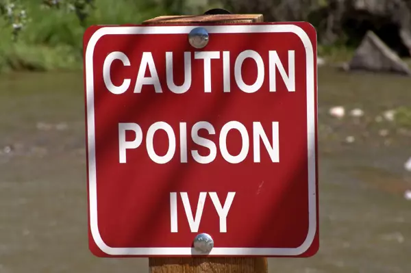 Poison Ivy Sign