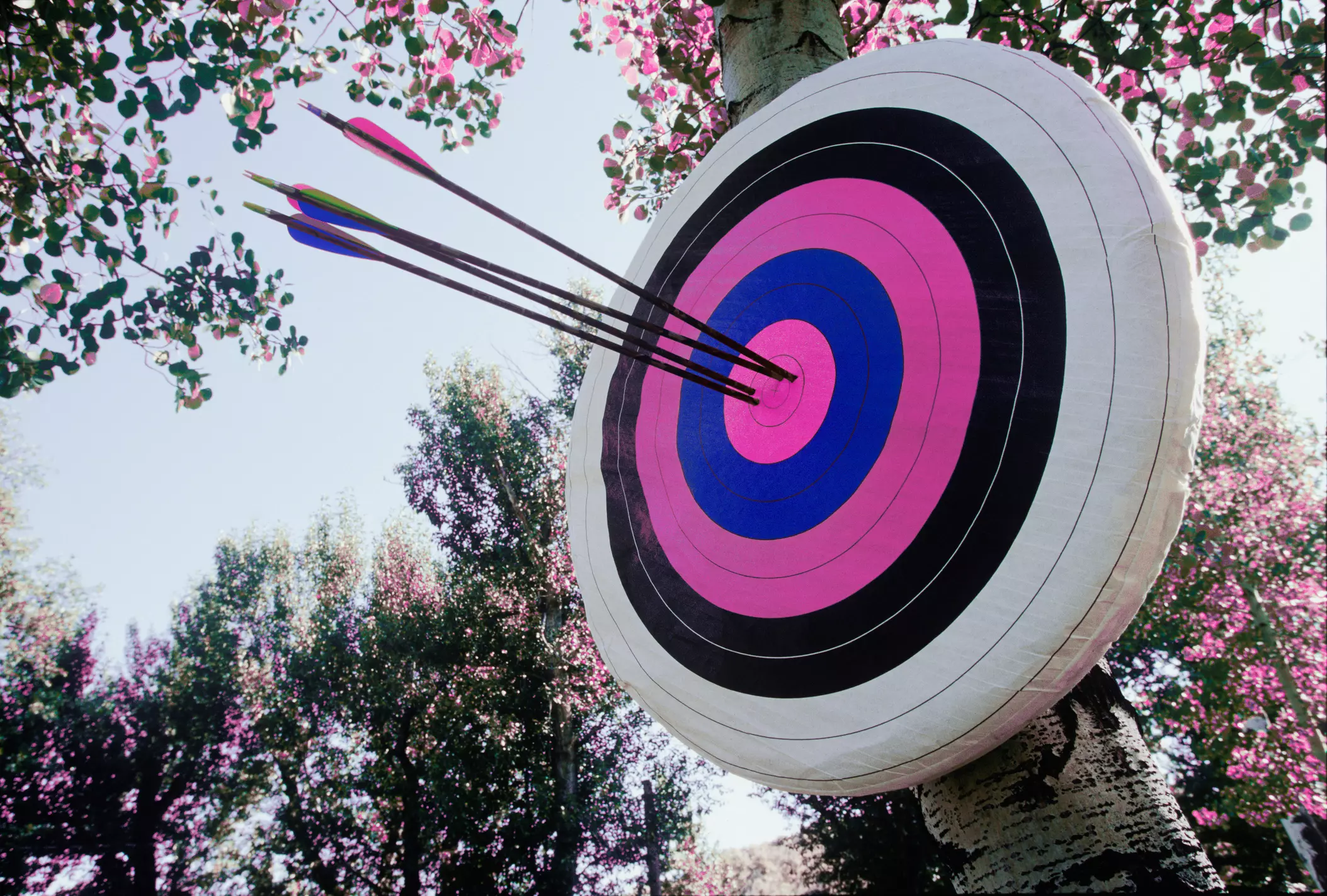 Bayi Unik Mengungkapkan: Buck Hunter