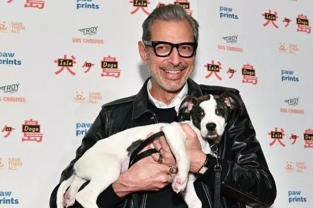 Jeff Goldblum kuçikek ku danasîna Girava Kûçikan dike, dihejîne