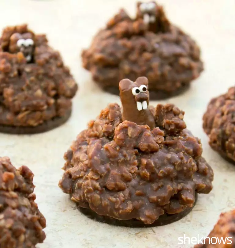 groundhog cookies