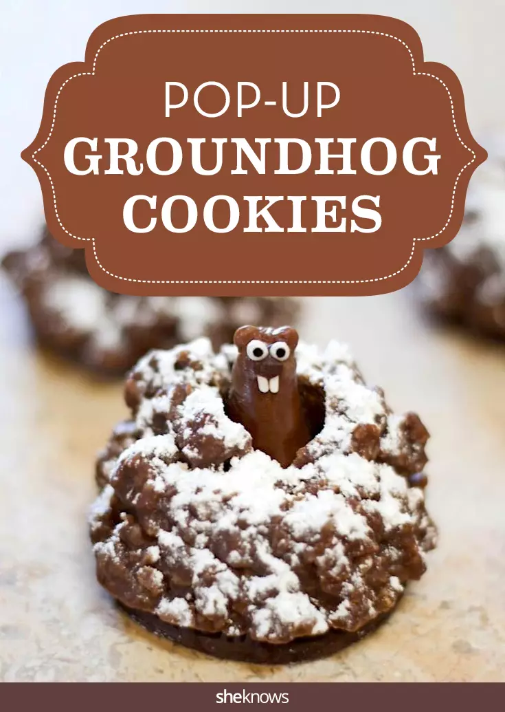 groundhog cookies