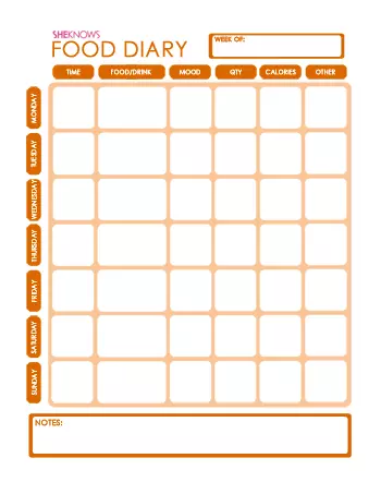 Food diary printable page - click me!