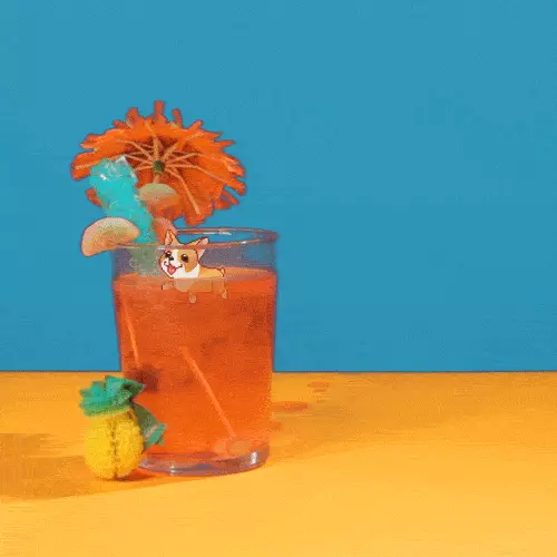 gif chien cocktail