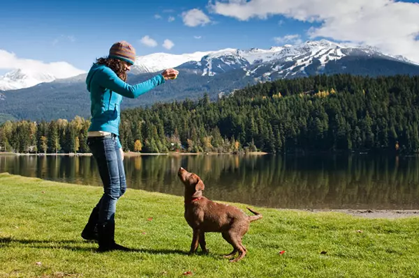 vrouw die buiten met hond speelt