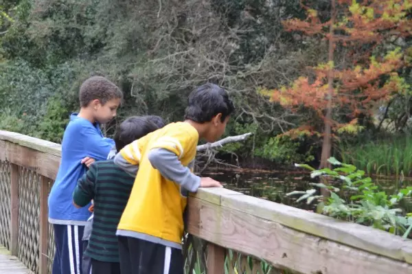 Tsuntsaye na 'yan asalin Louisiana da shuke-shuken hanyar yanayi a Audubon State Park