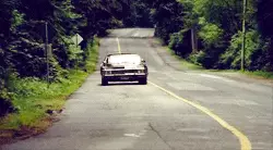 impala gif