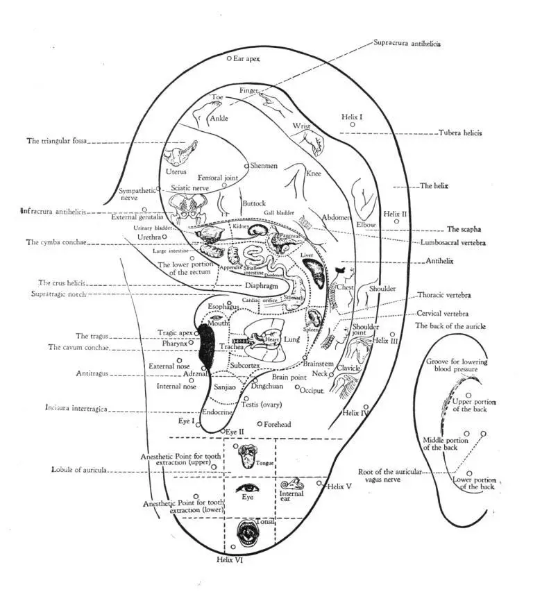 pob ntseg map