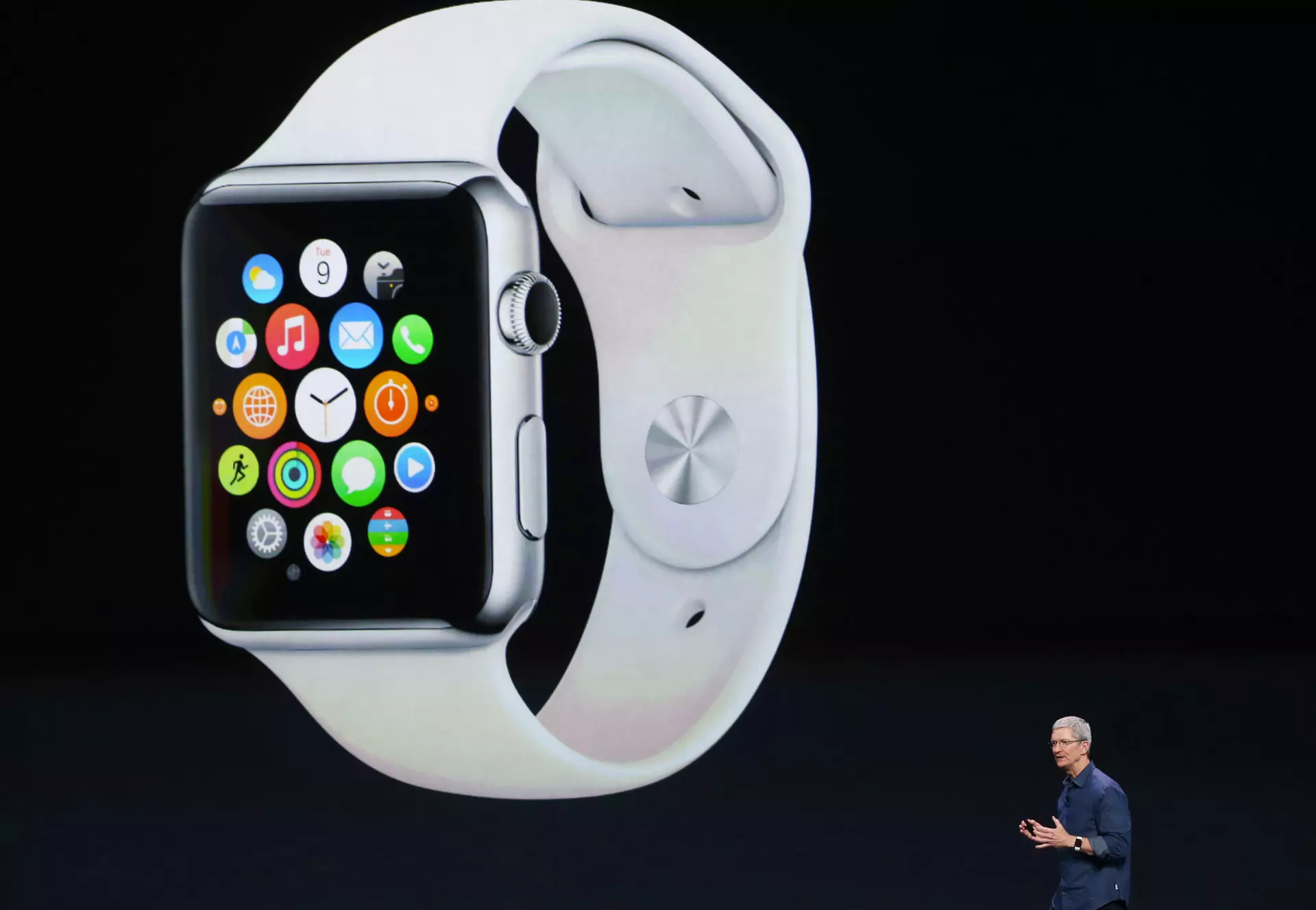 Apple Wearables (Apple Watch)