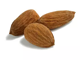 almond | Sheknows.com