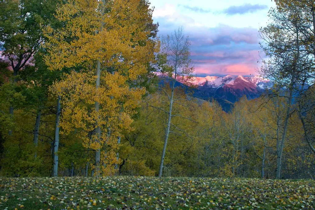 Telluride, CO