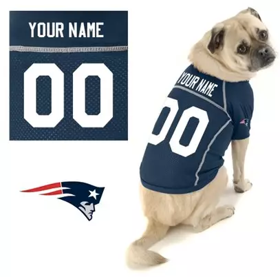 Echipament obligatoriu pentru animalele de companie pentru Super Bowl XLIX 312683_7