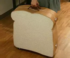 Sandwich suitcase