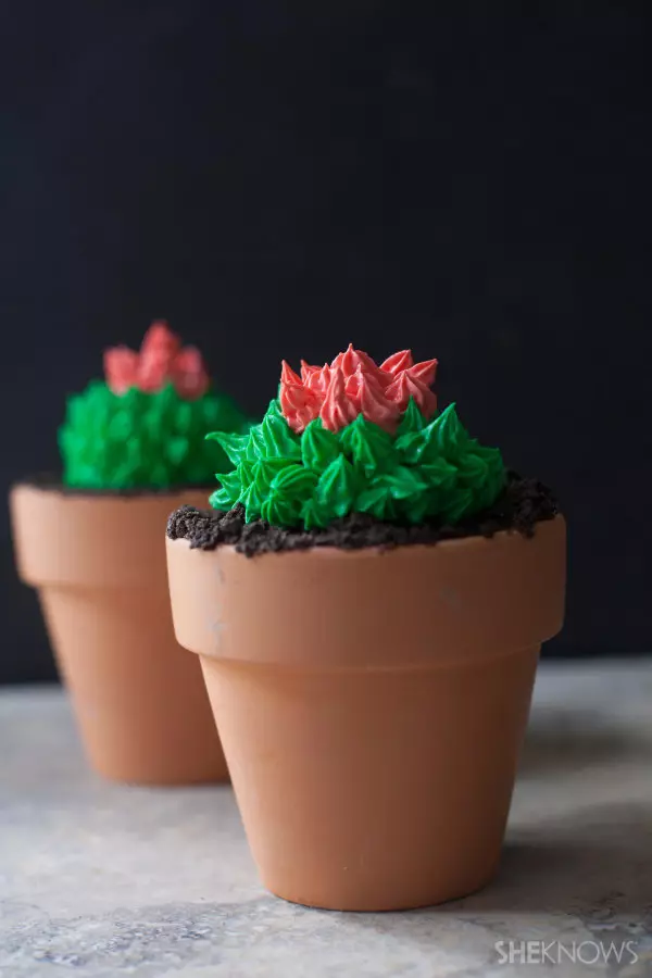 Mga cupcake ng Cactus