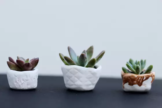 Pinch pots | Sheknows.com