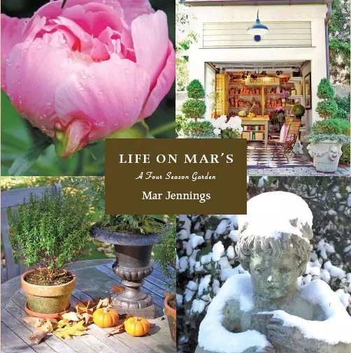 Life on Mars book cover