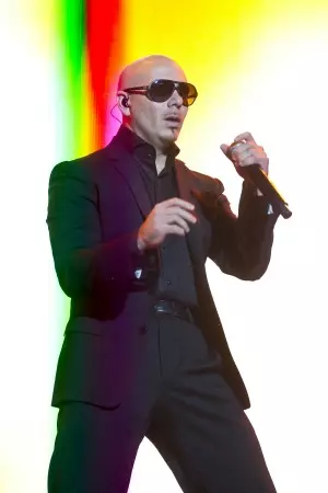 جلاوطن Pitbull