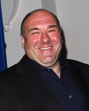 James Gandolfini apfuura cocaine kushungurudzwa.