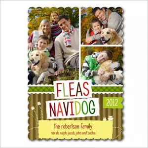 Fleas Navidogs