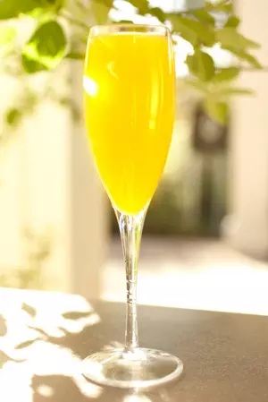 Mimosa