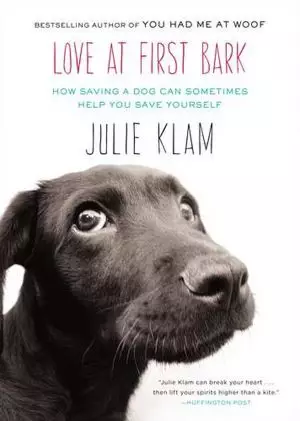 Love At First Bark, Julie Klam