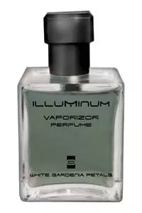 Illuminum 凱特米德爾頓婚禮日香水的白色梔子花花瓣