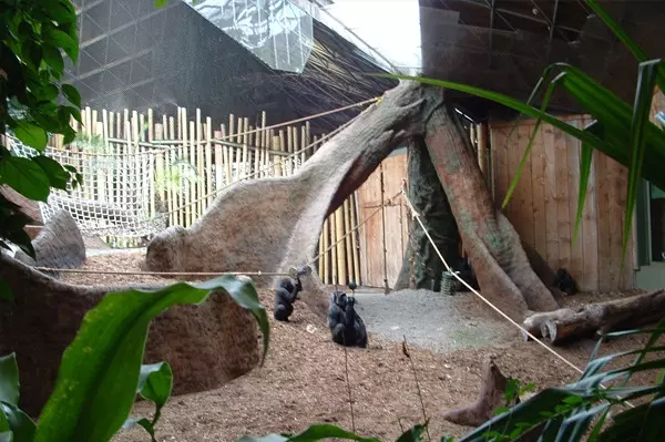 Grădina Zoologică din Toronto