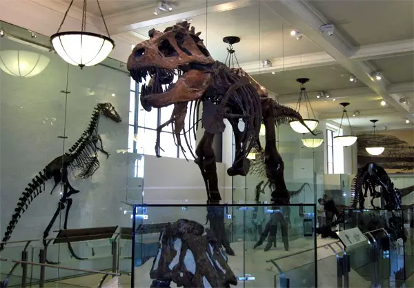 Exposición do museo de dinosauros