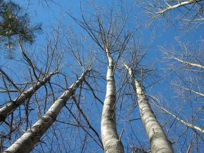 Hiver, météo et perte de poids 379169_1