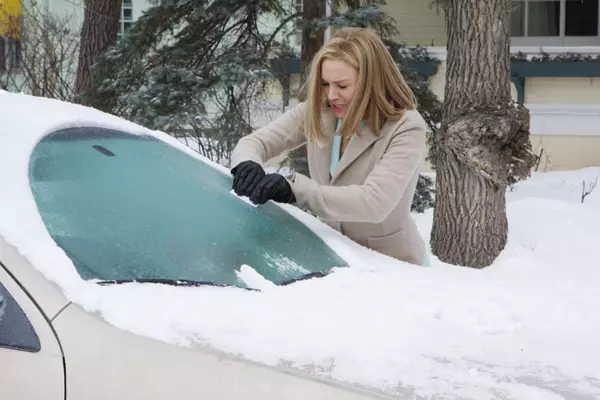 The Icewoman cometh, Renee Zellweger