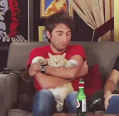 Αγκαλιά γάτας
