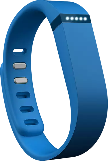 FitBit ଫ୍ଲେକ୍ସ |