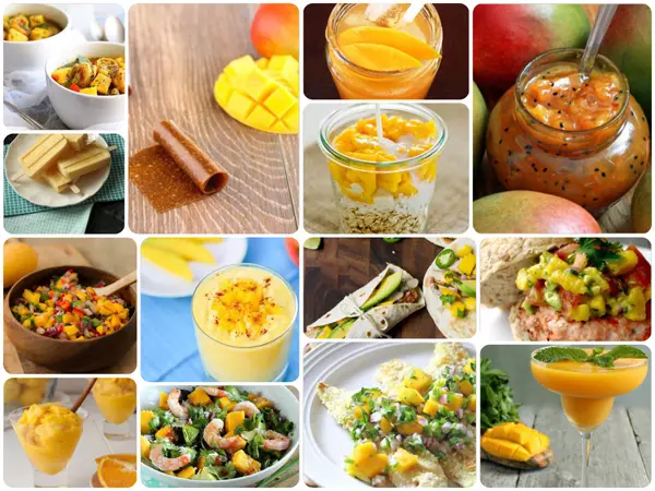Receptes amb mango