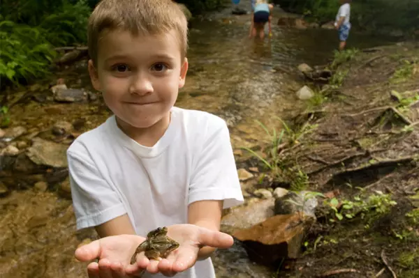 Petit garçon tenant une grenouille